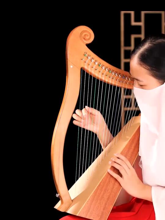 19 Strings Mini Harp Mahogany Spruce Wood Musical Instrument Lyre Harp ...