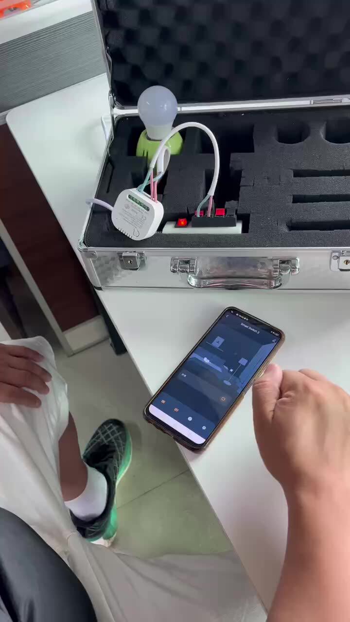 Factory Wholesale 15a 100-240v Tuya Zigbee Smart Switch Module With ...