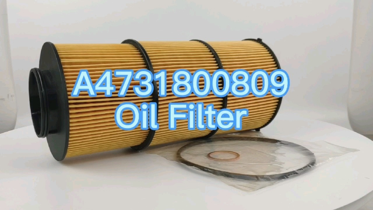Oil Filter Lf17511 A4731800809 4721800409 Hu12001z A4721800309 For ...