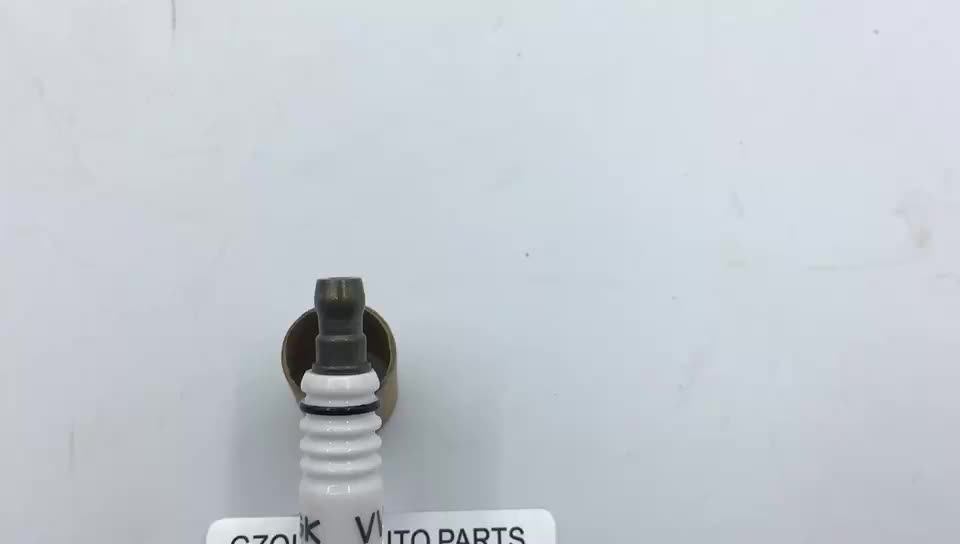 Gzouku Qty4 Original Platinum Spark Plugs For Skoda Seat 1.8t 101 000 ...