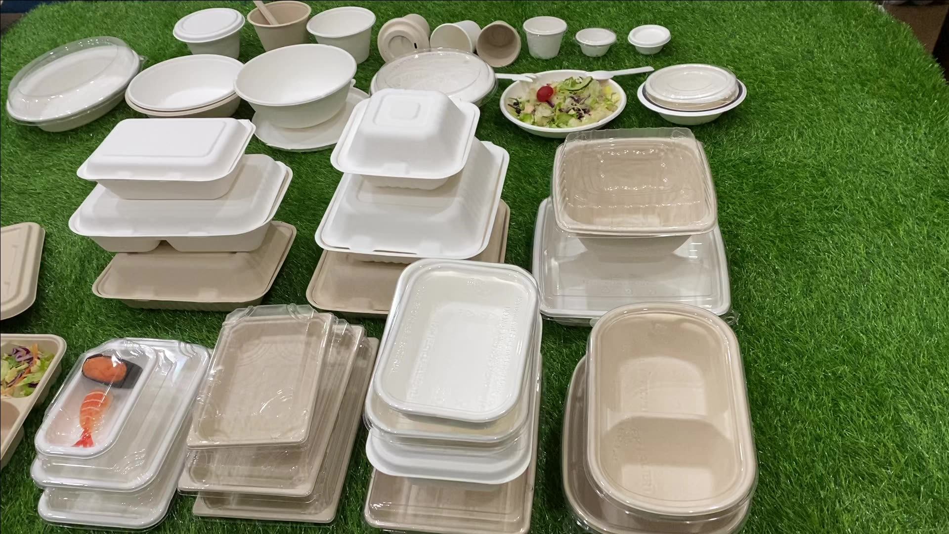 750ml Sugarcane Food Container Disposable Biodegradable Lunch Box ...