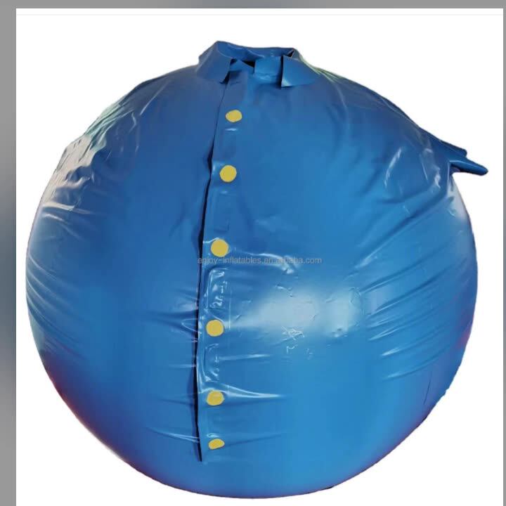 Inflatable Game Blueberry Inflation Suit Customize Quality Adult Pvc ...