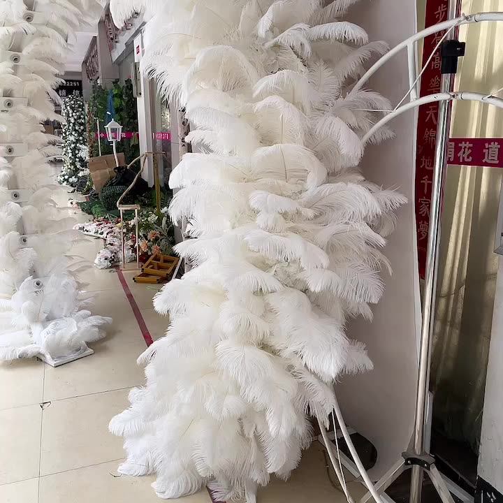 Arch With Light Ostrich Feathers For Wedding Backdrop Set Of Wedding ...