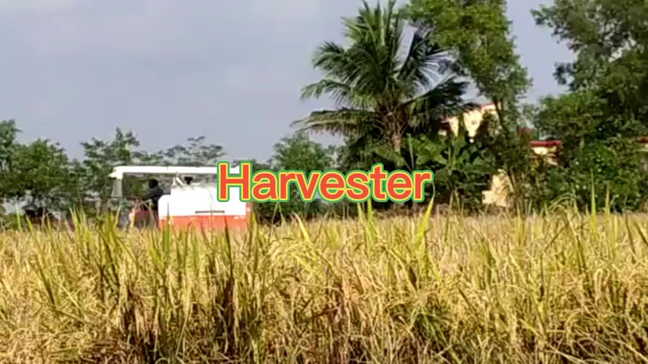 Kubota Mini Combine Harvester Prices Kubota Dc70g Dc70g Plus Combine ...