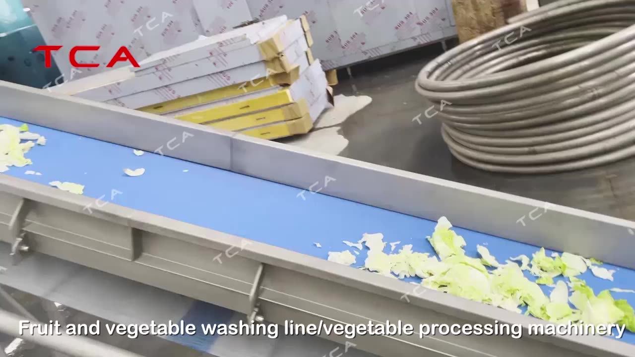 Tca Automatic Green Leafy Frozen Vegetable Cutter Washing Machine ...
