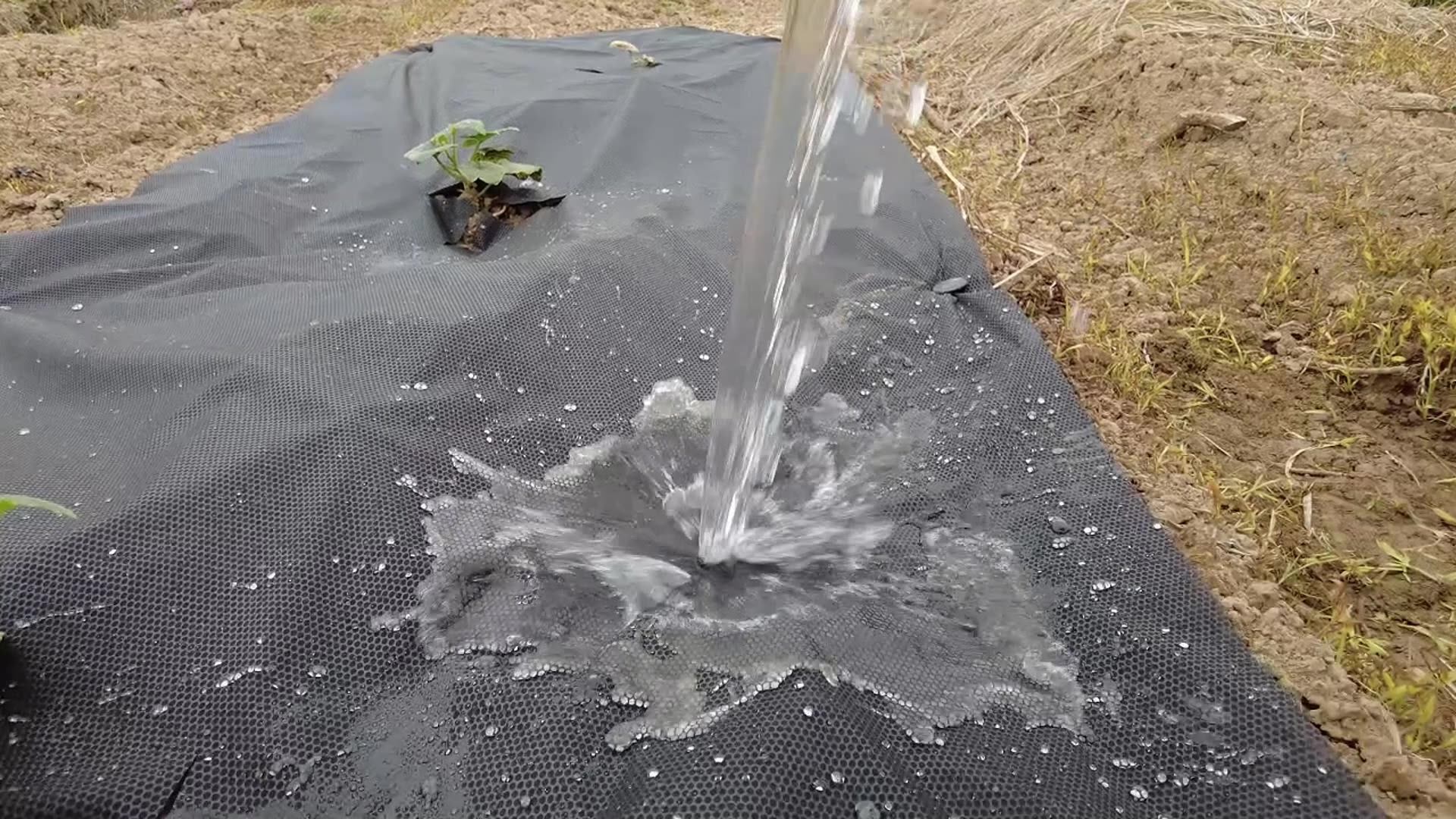 Nonwoven Plastic Ground Cover Control Mulch Film Polypropylene Weed Mat ...