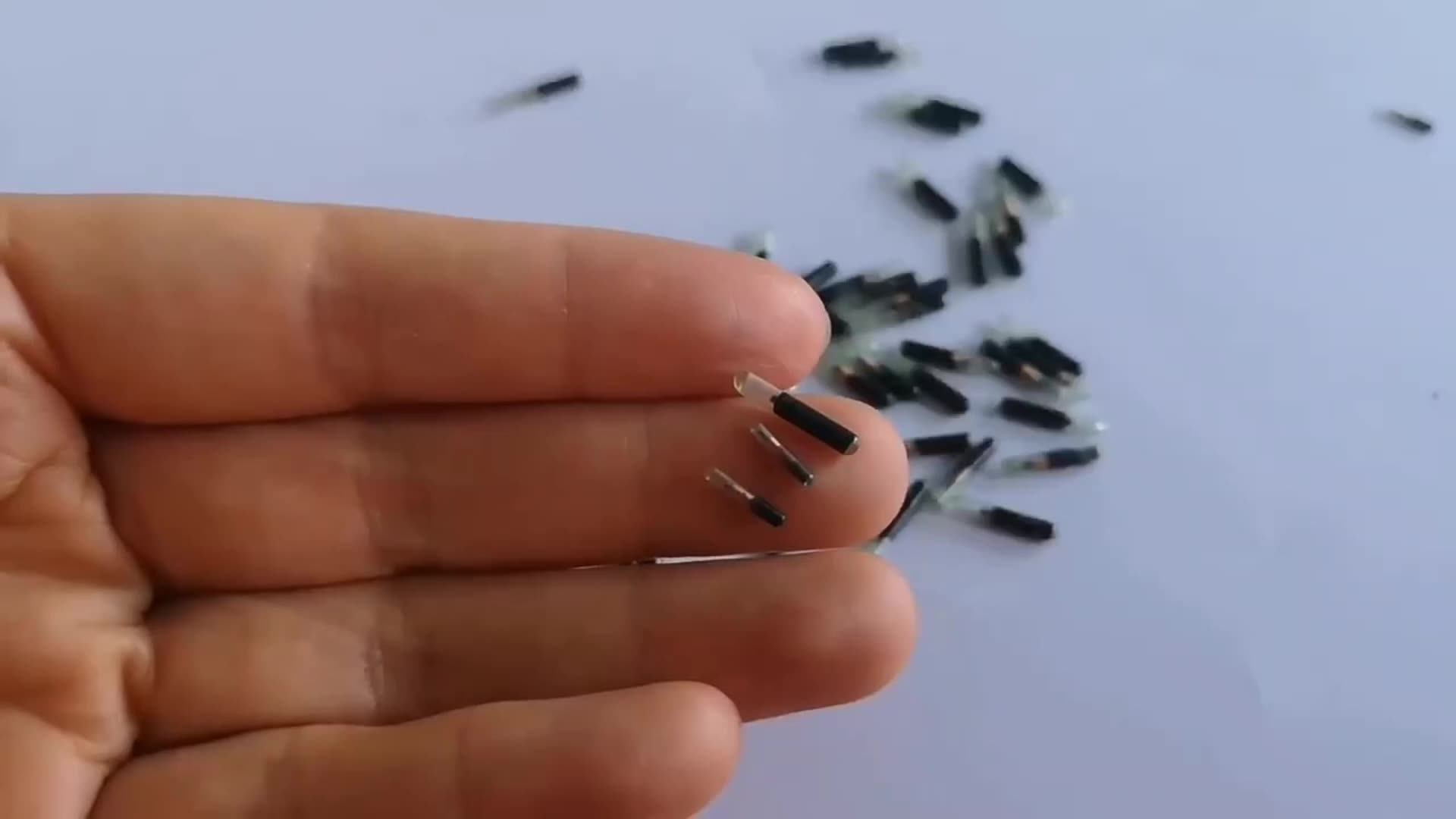 Cmrfid Iso11784/11785 Animals Rfid Identification Bioglass Tag 1.25*7mm ...