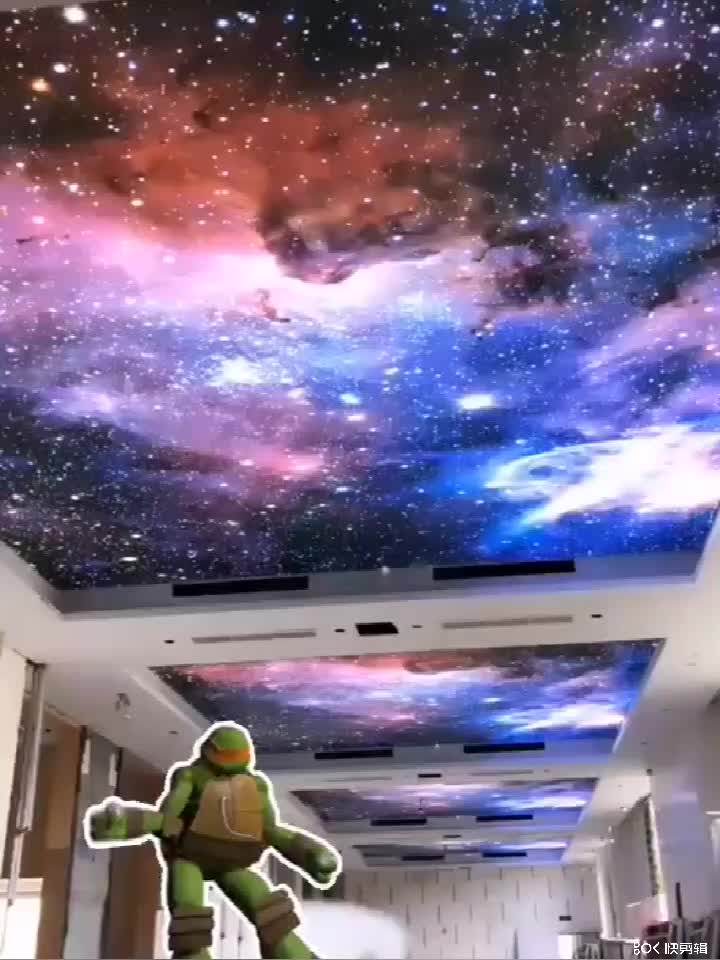 Bahan Dekorasi Mode 3d Cetak Visual Pvc Film Langit-langit Peregangan ...