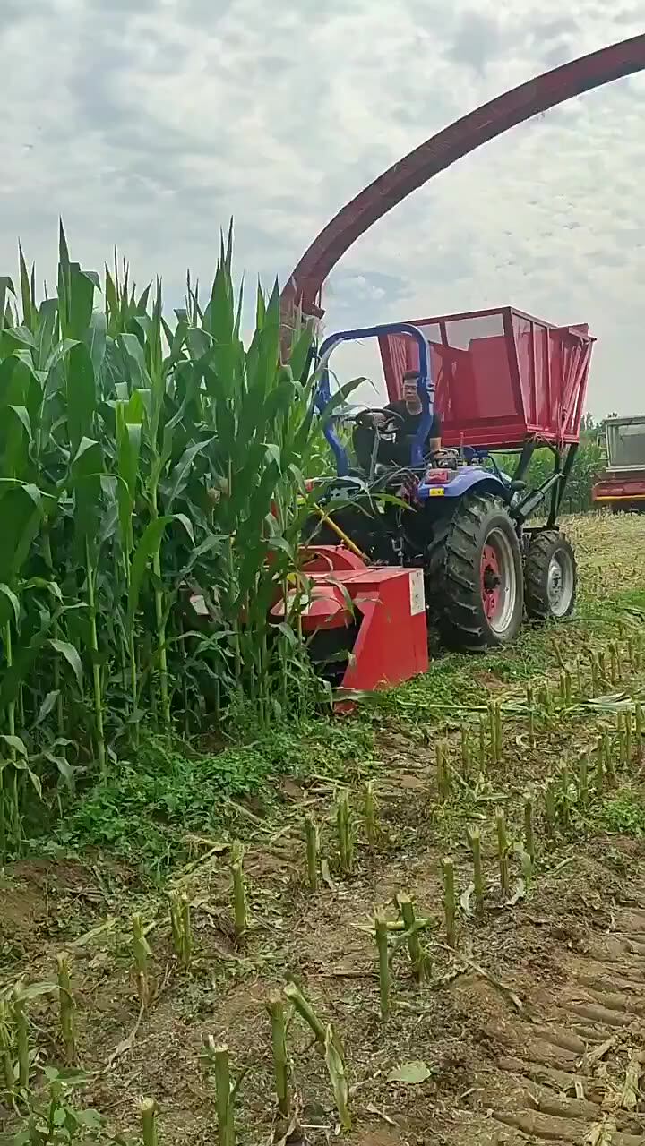 Humanized Design Corn Silage Chopper Machine Energy Saving And ...