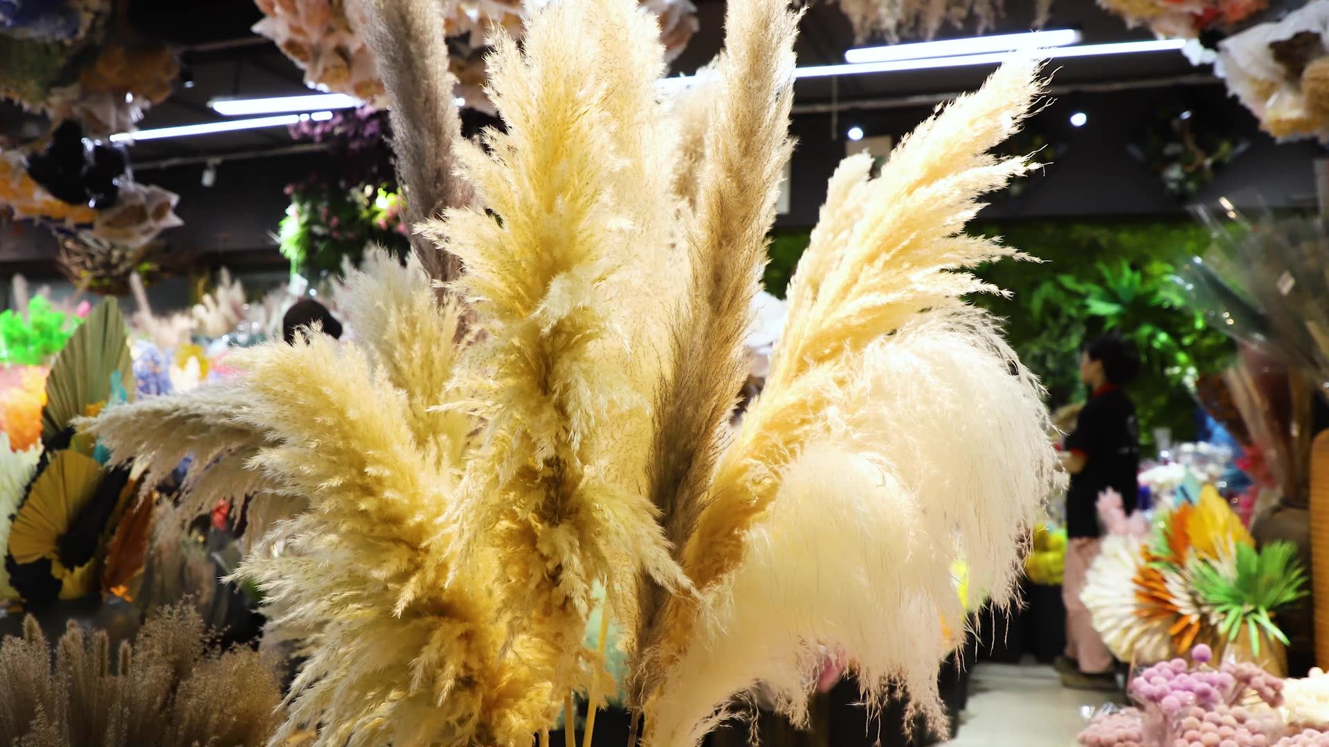 Factory Direct Selling Natural Dried Flowers Large Plume Beige Pampas ...
