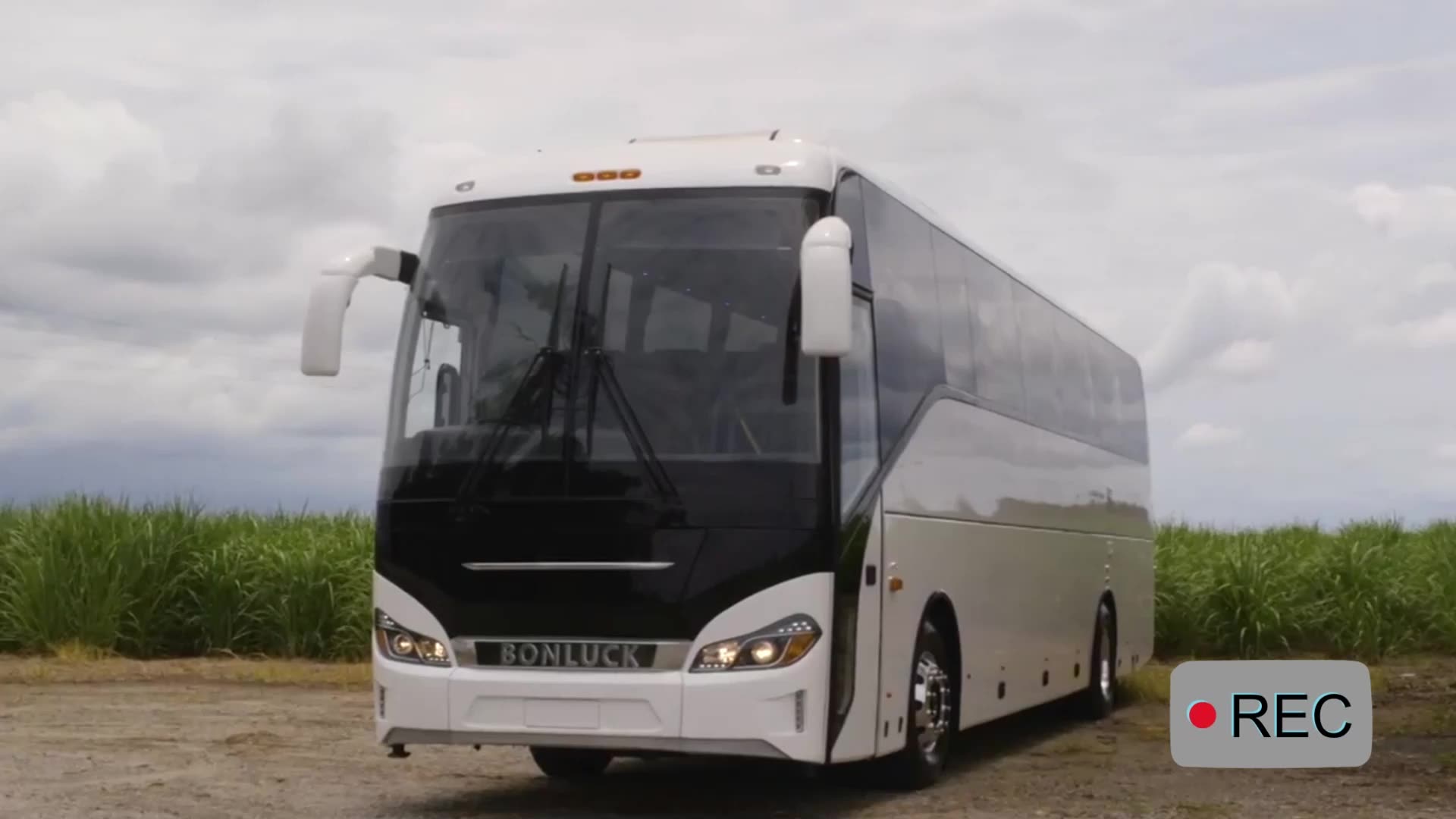 New Model Bus 50 Seats Coach Buses New And Used Sale In Africa - Buy Coach Bus Color Design,New ...