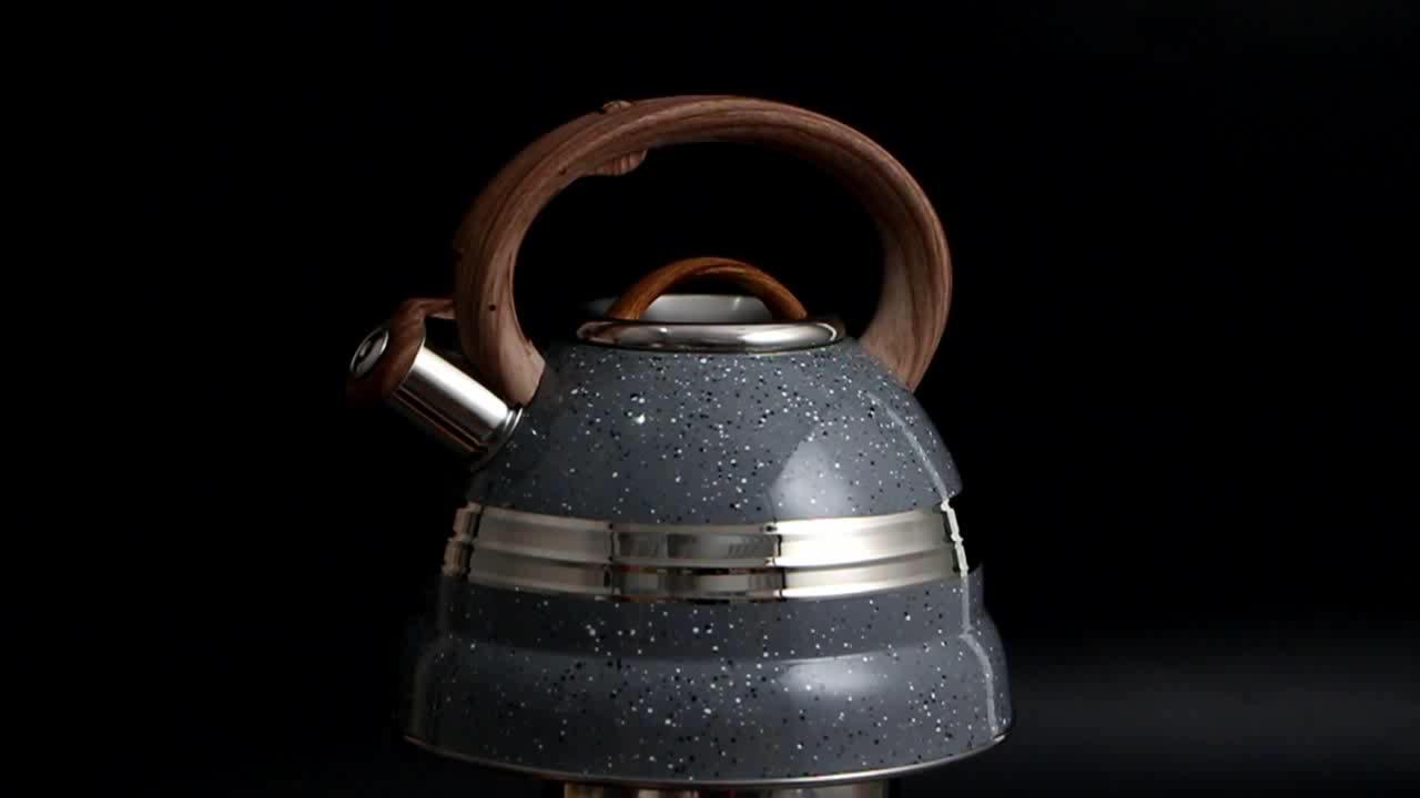 Stainless Steel Whistling Tea Kettle,Whistling Kettle With Blue ...