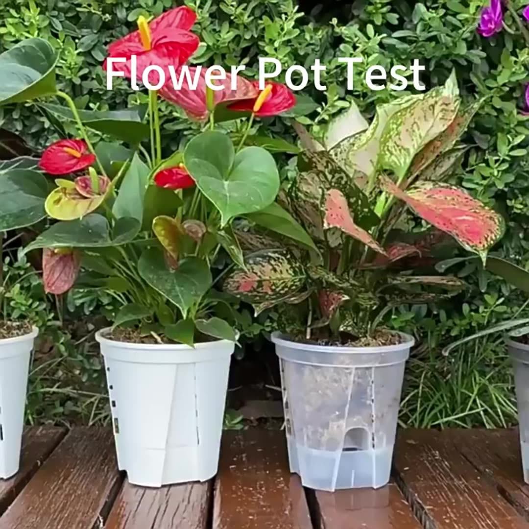 High Quality Transparent And White Garden Plant Orchid Pots Clear ...