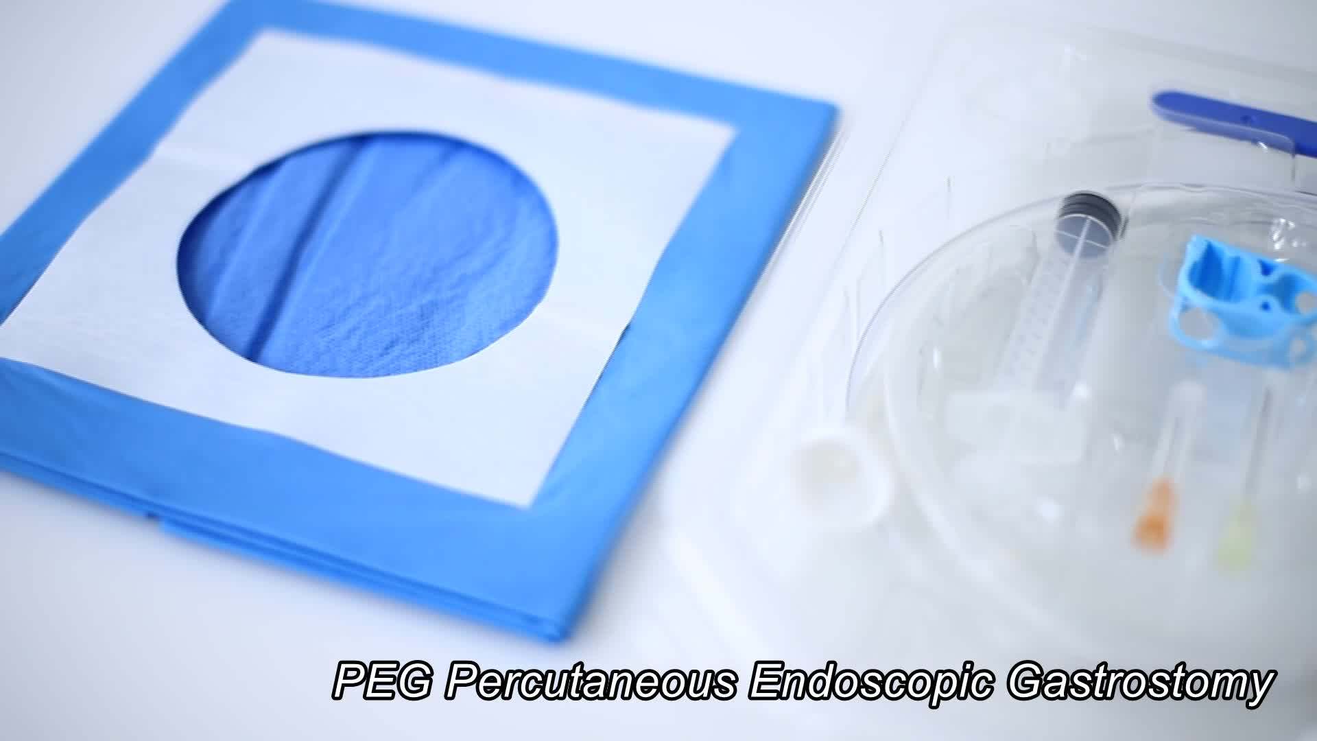 Wholesale 12-24fr Silicone Gastrostomy Tube Or Peg Kit For Food Feeding ...