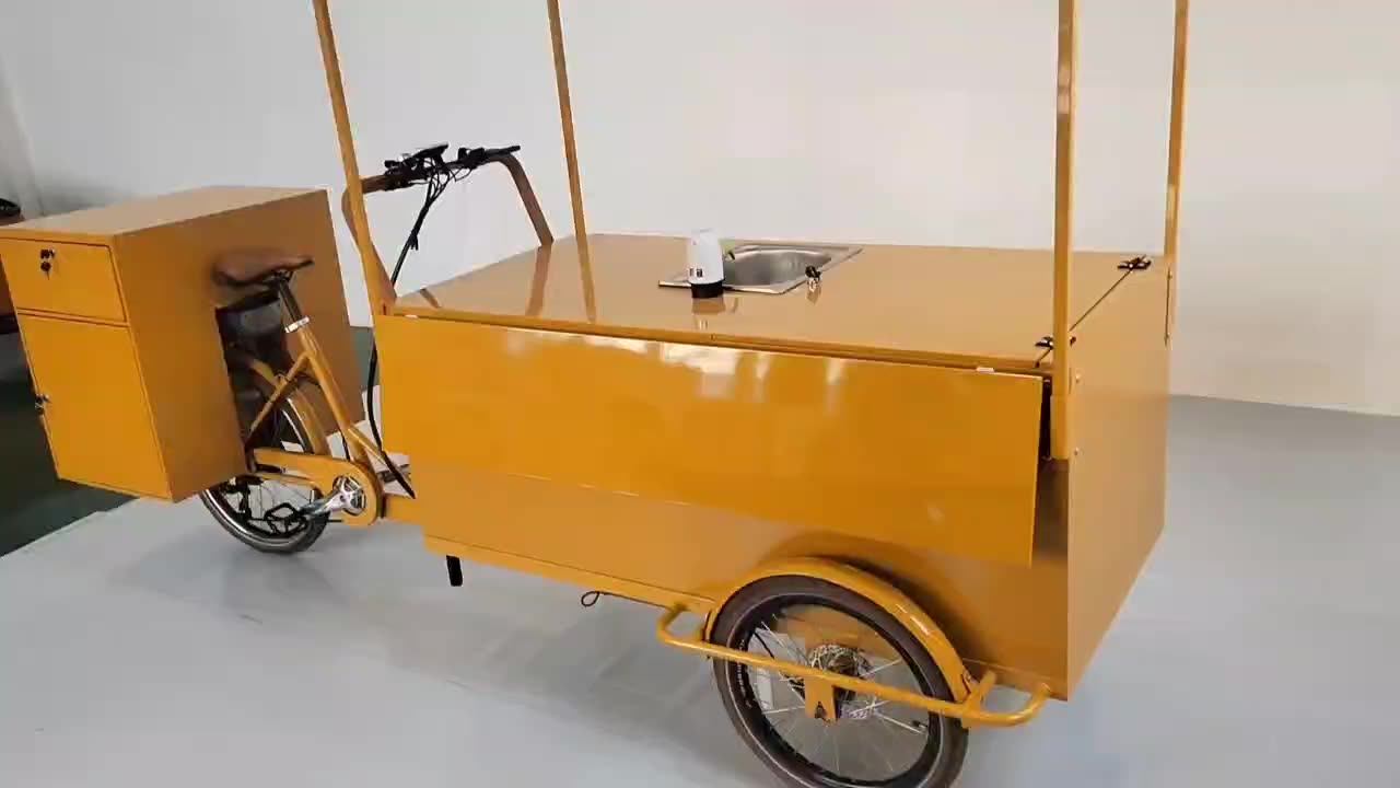 Retro Coffee Bike Electric Cargo Tricycle Customized Hot Dog Vending ...