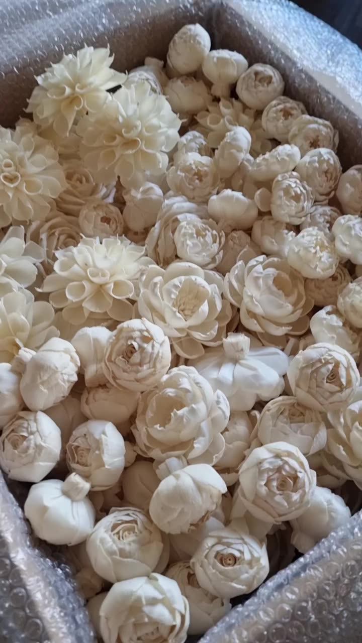 Sola Wood Flower Bulk Roses Wholesale Sola Wood Flower Bark Assortment ...
