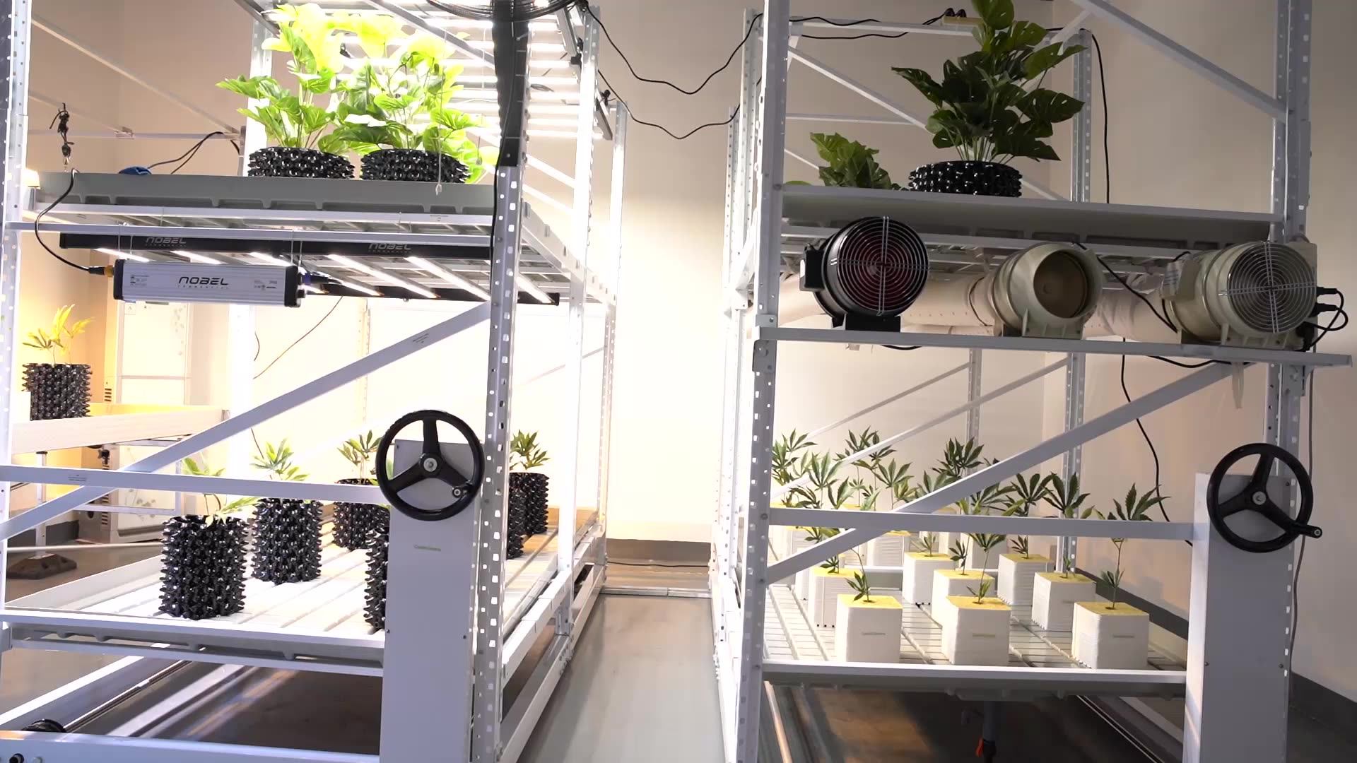 Vertical 4ft*8ft Grow Systems Hydroponic Rack Farm Vertical Rack ...