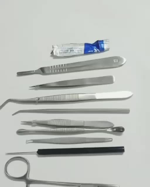 Veterinary Dissecting Kit Surgical Instruments Stainless Steel Forceps ...
