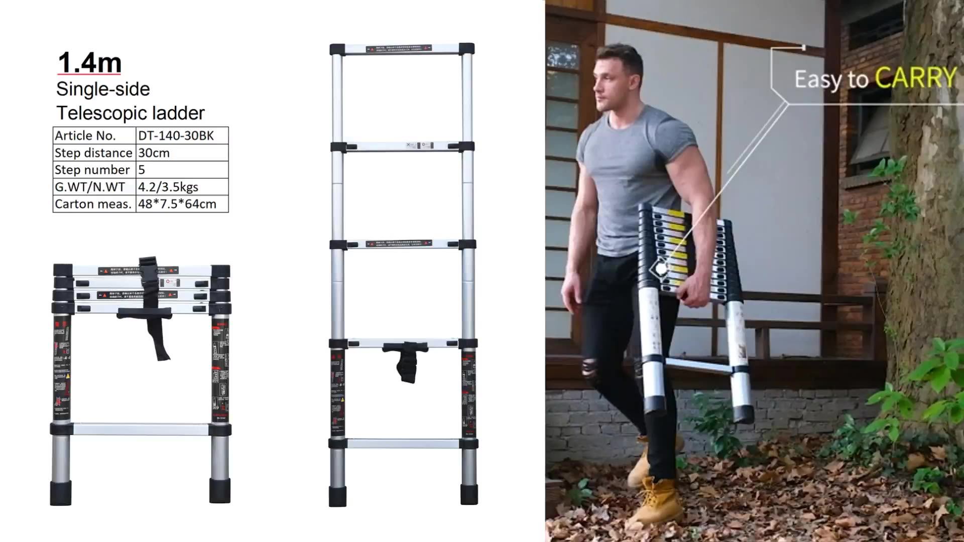 Modern Design Black Steel Ladder Custom Length And Folding With ...