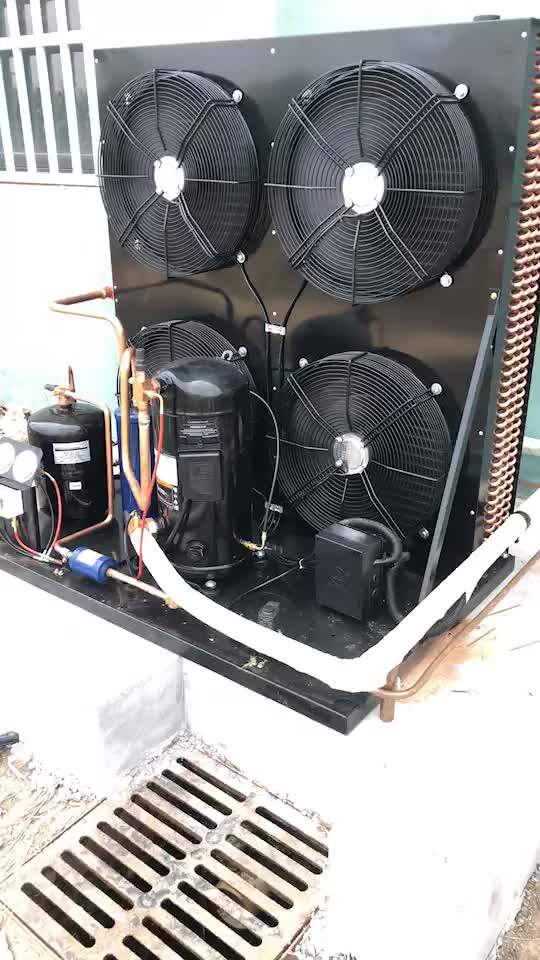 20ft Mobile Container Best Solar Power Cold Storage Room For Fish Meat ...