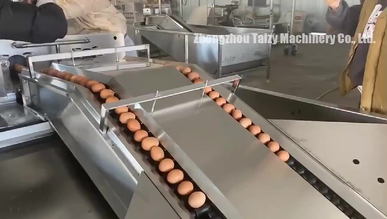 Stainless Steel Poultry Egg Washer Cleaner Hen Egg Cleaning Machine Chicken Egg Washing Machine ...