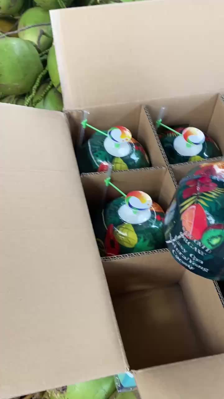 Fresh Coconut Easy To Open With Push Botton And Straw/ Fresh Coconut ...