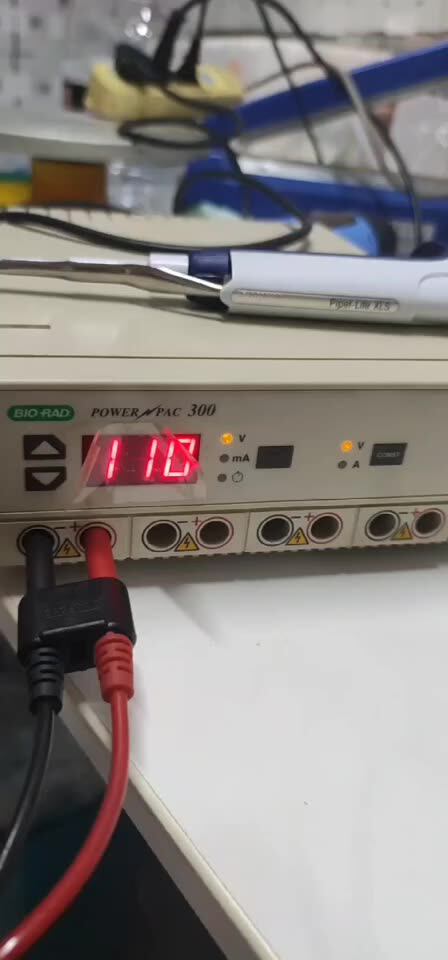 Precast Sds-page Electrophoresis Gel 10%,15 Wells For Sds-page Protein ...