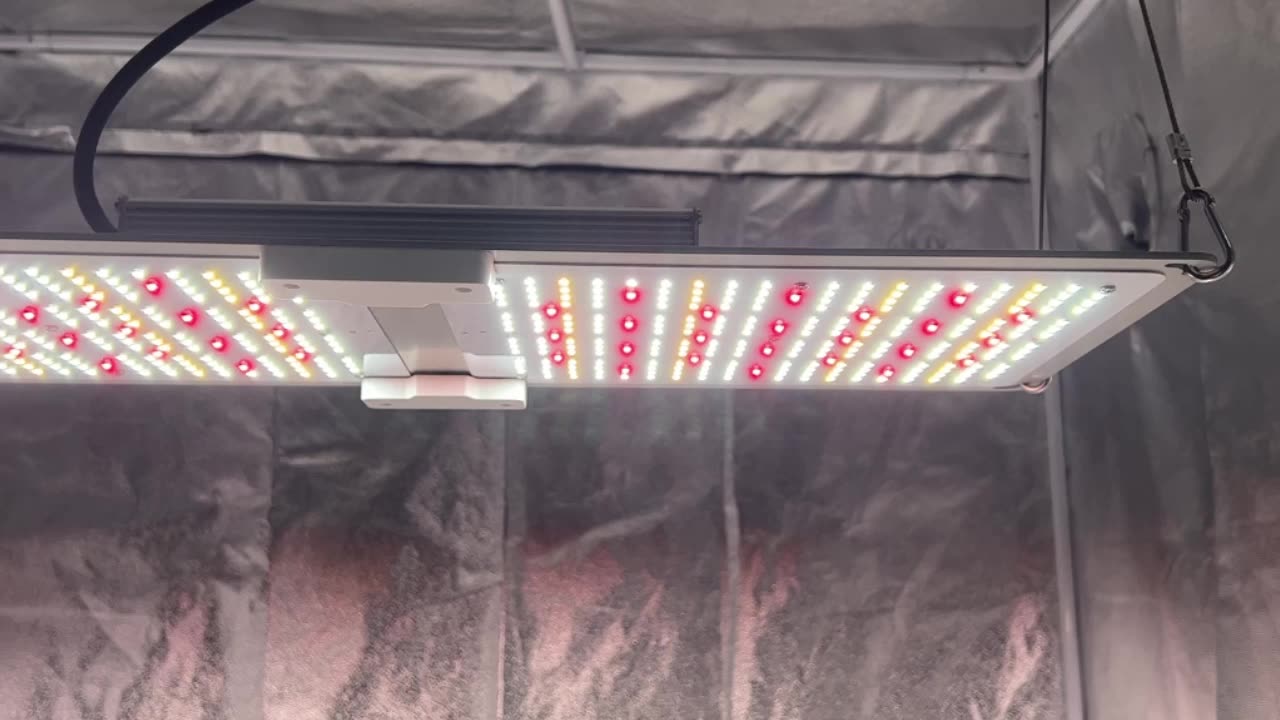 Customize Lm281b Lm301h Full Spectrum Led Grow Lights Uv Ir Panel 200w 300w 400w 600w For Indoor ...