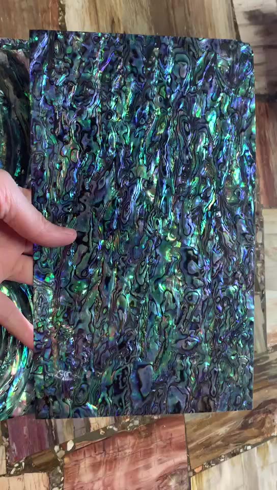 Shinny New Zealand Natural Abalone Shell Sheet Wall Paper Guitar ...