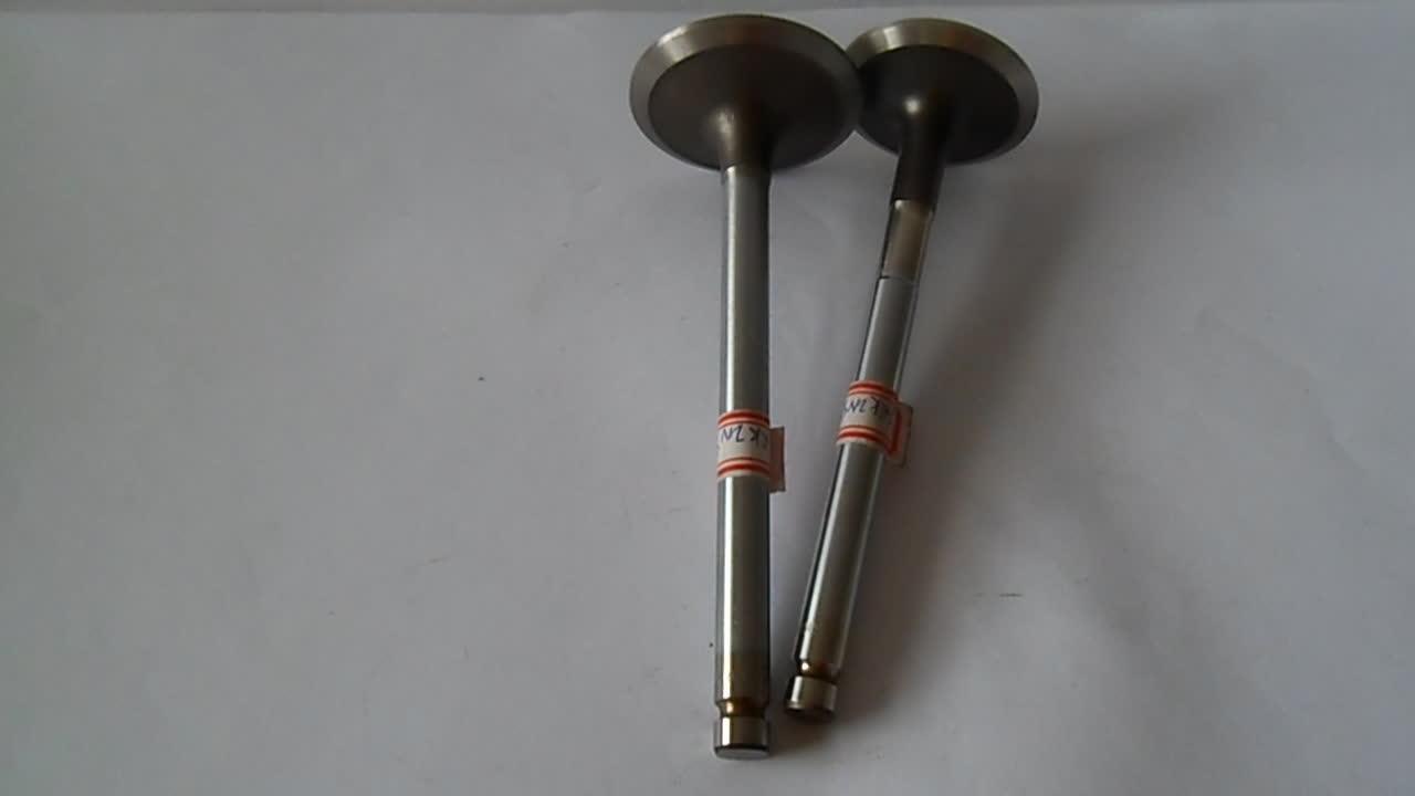 Anhui Auto Parts For Perkinss 1104 1103 Engine Intake And Exhaust Valve ...