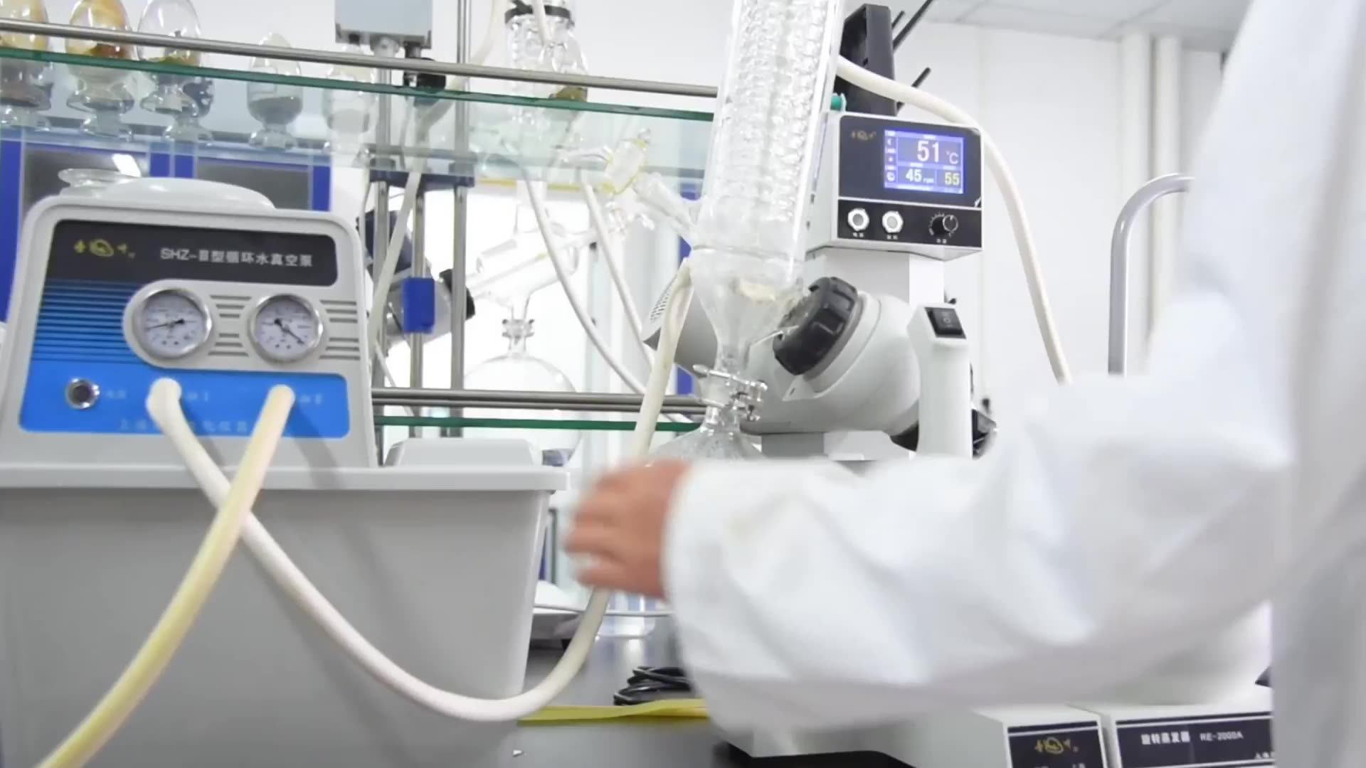 Reinvigorate Masculinity Epimedium Brevicornum Maxim Epimedium Extract ...