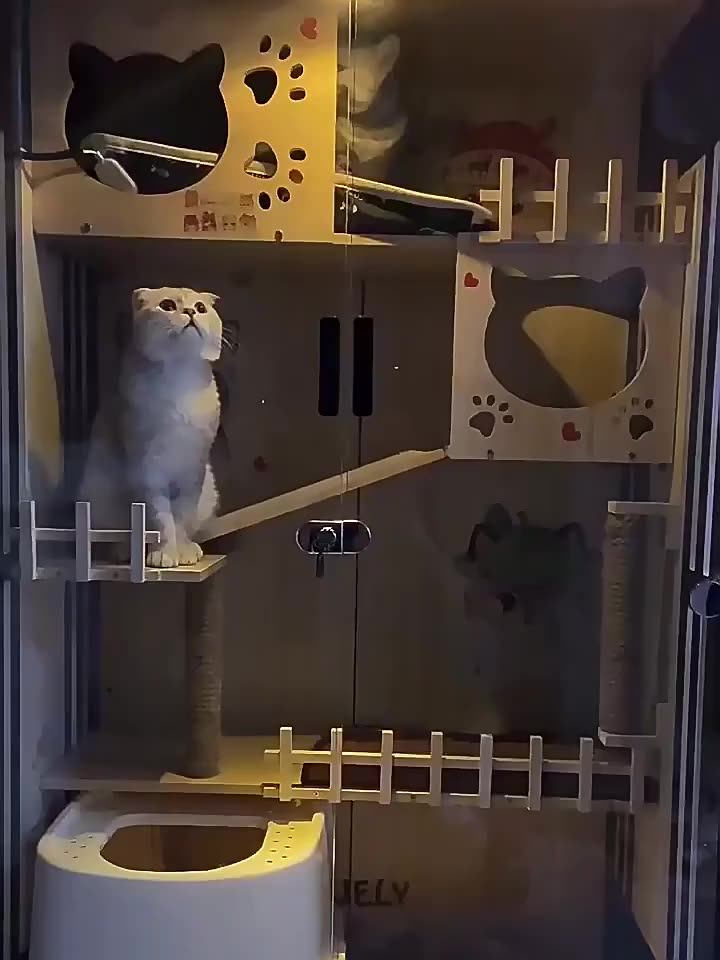 Custom Indoor Luxury Wooden Cat Furniture Breeding Luxury Cat House ...