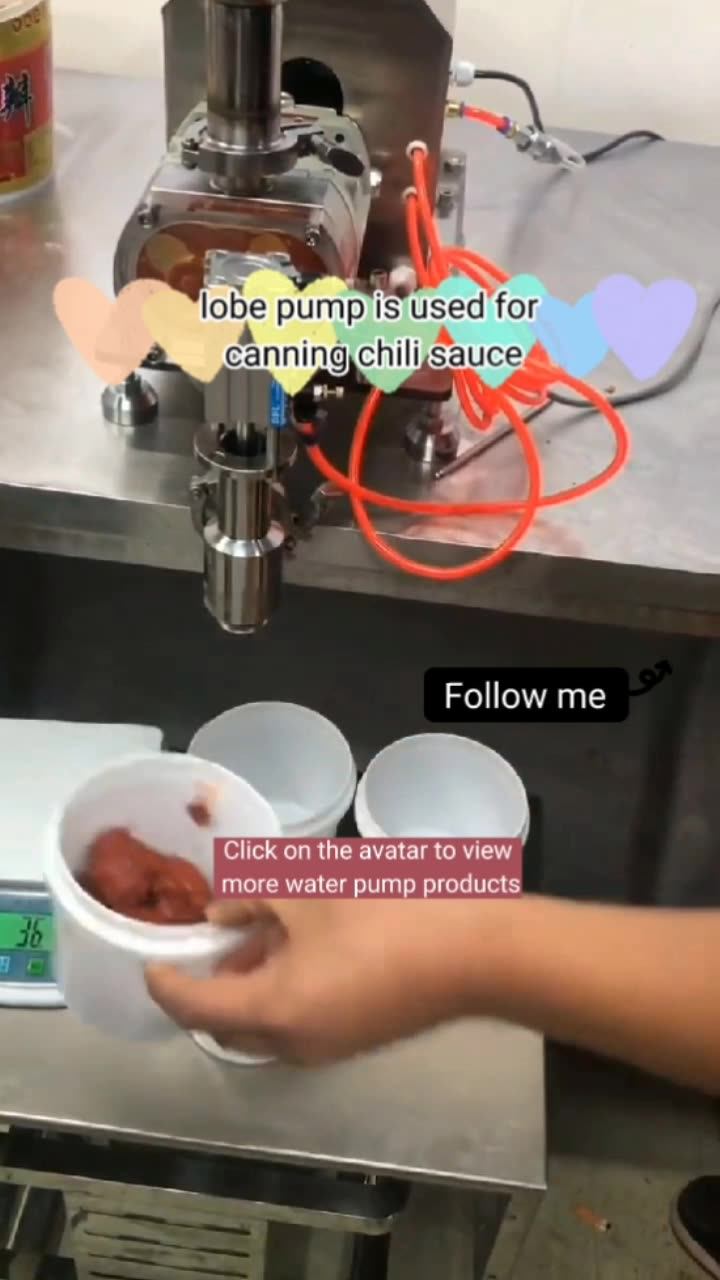 Butterfly Two Lobe Tri-lobe Rotor Stainless Steel Food Transfer Food ...