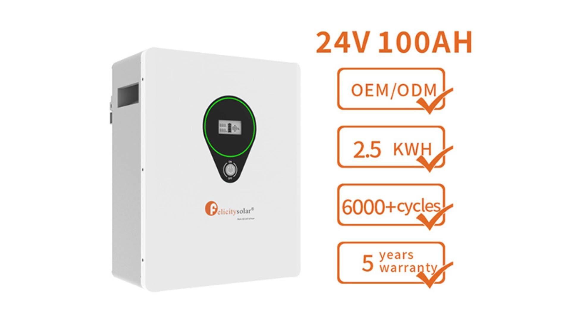 Felicity Solar Lifepo4 24v 48v 100ah Lithium Ion Battery Pack High ...