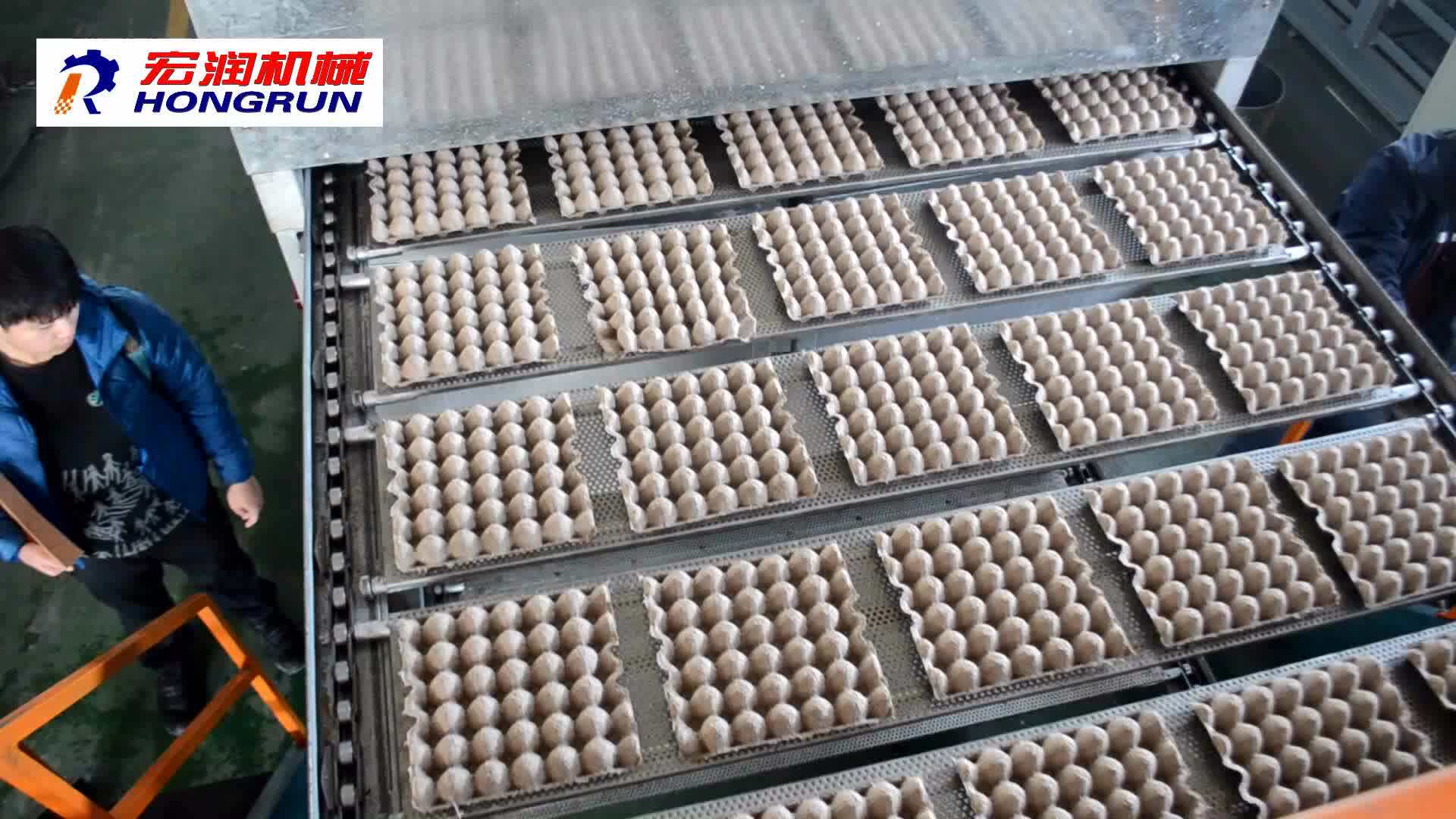 Different Capacity Waste Recycling Paper Egg Tray Machine Egg Carton ...