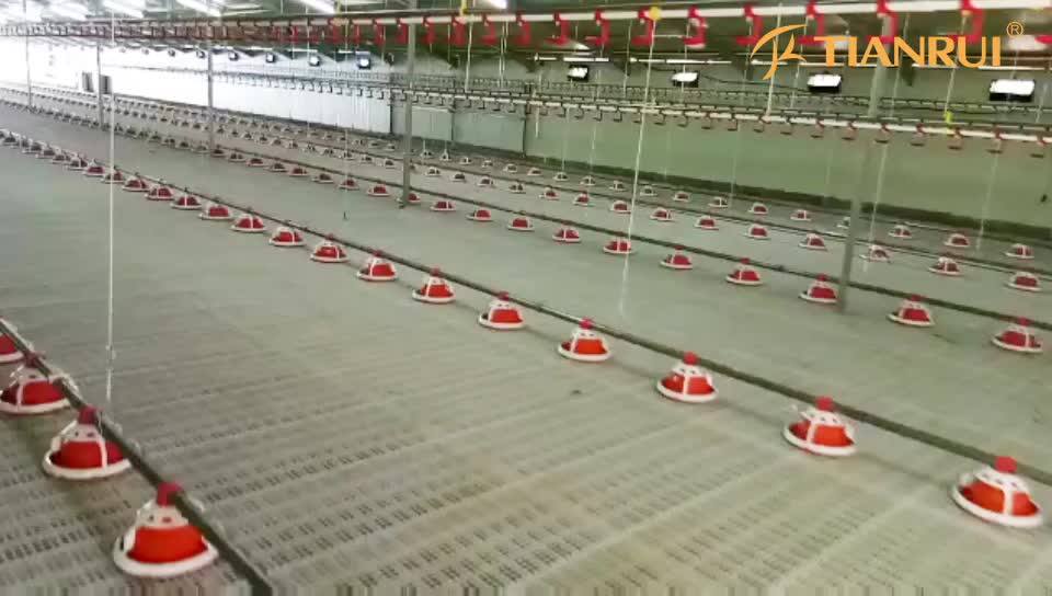 Poultry Farming Equipment Broiler Chicken Ground Floor Rearing System ...