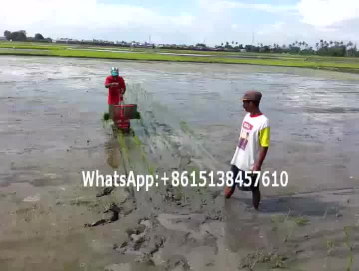 Paddy Planting Machine Rice Transplanter Rice Planter Manual Rice ...