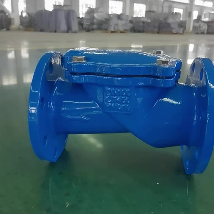 Dn100 Pn16 Cast Iron Rubber Standard Flapper Type Non Return Check ...