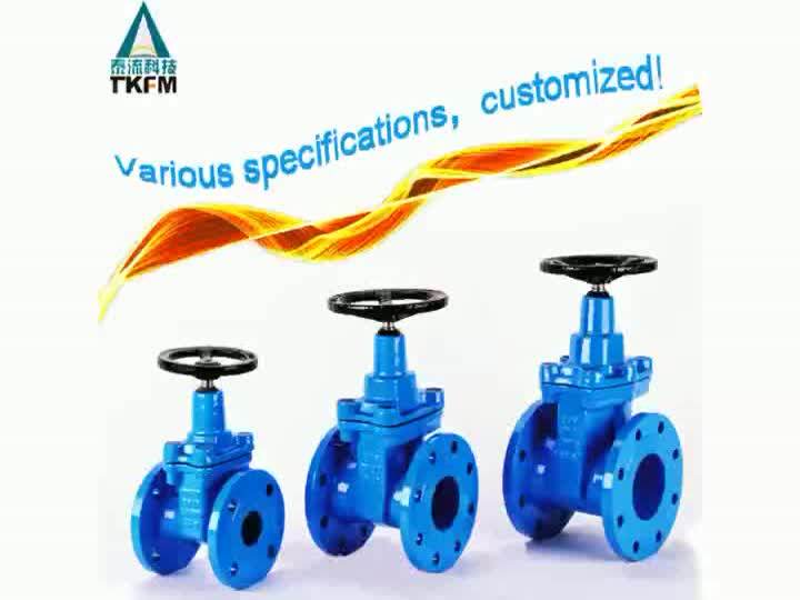 Hot Sale 6 Inch Double Disk Api 6a Water Gate Valves Large Diagram ...