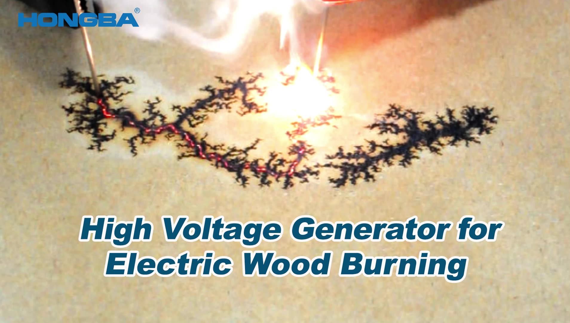Hongba Brand High Voltage Generator Transformer For Electric Wood ...
