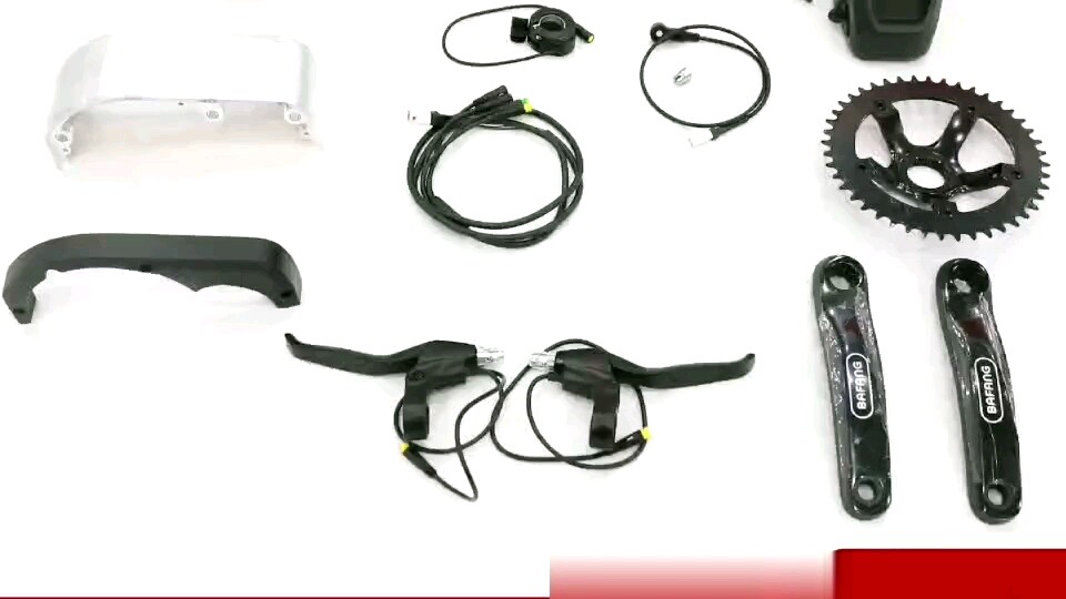 Bafang 8fun M600 Drive System: Torque Sensor Mid Drive Motor Kit with ...