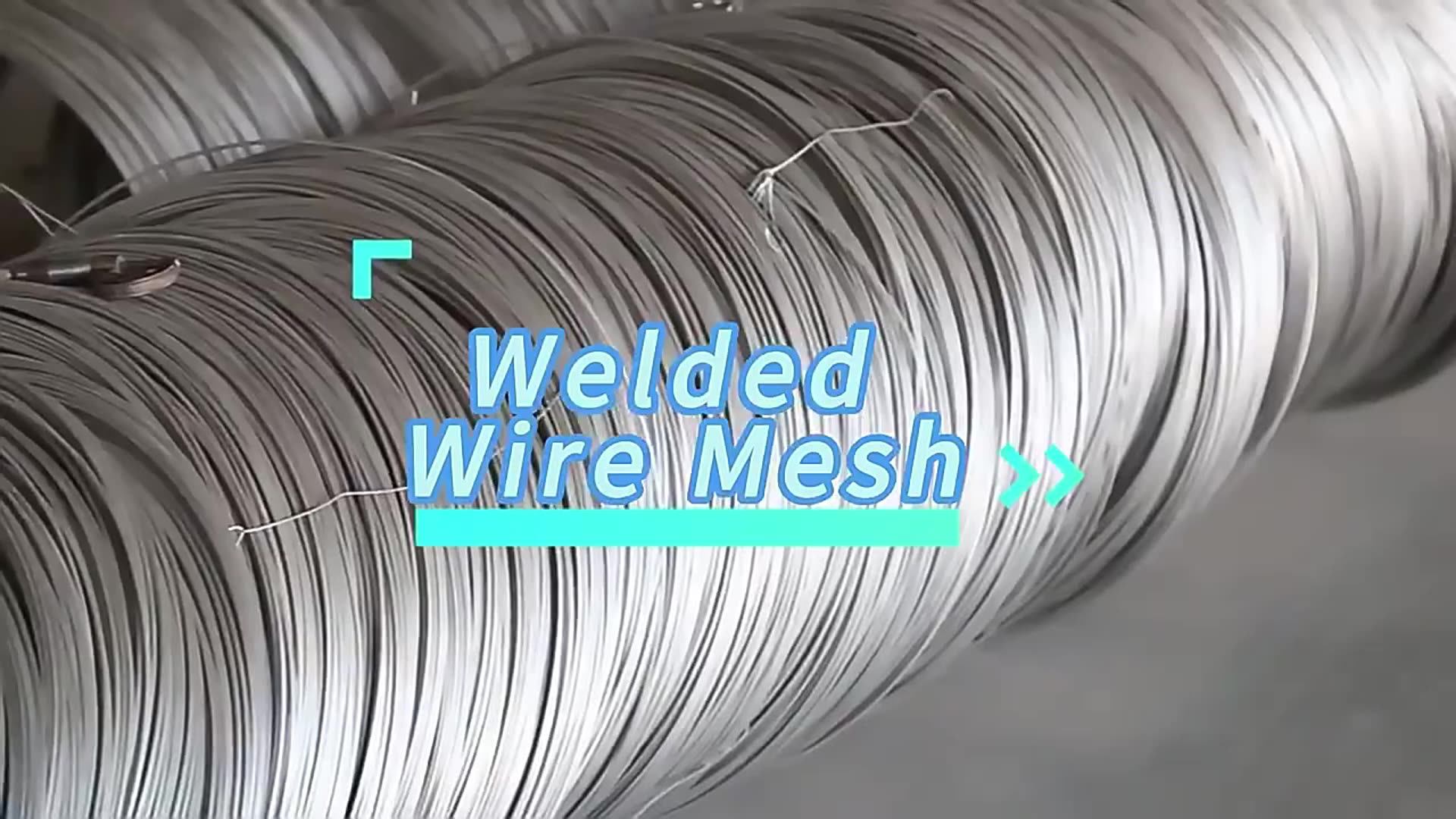 25mm X 25mm Galvanised Welded Mesh Chicken House Welded Wire Mesh Iron ...