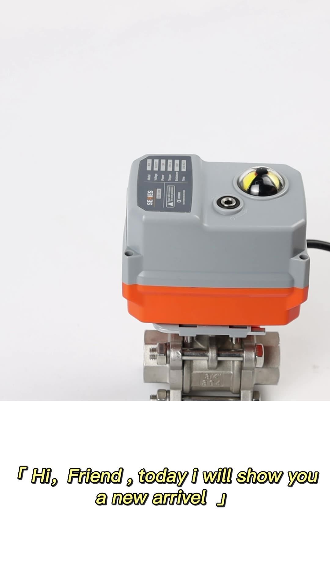 2 Way Electric 24v Motor Modulating Valve 4-20ma Electrical Ss304 ...