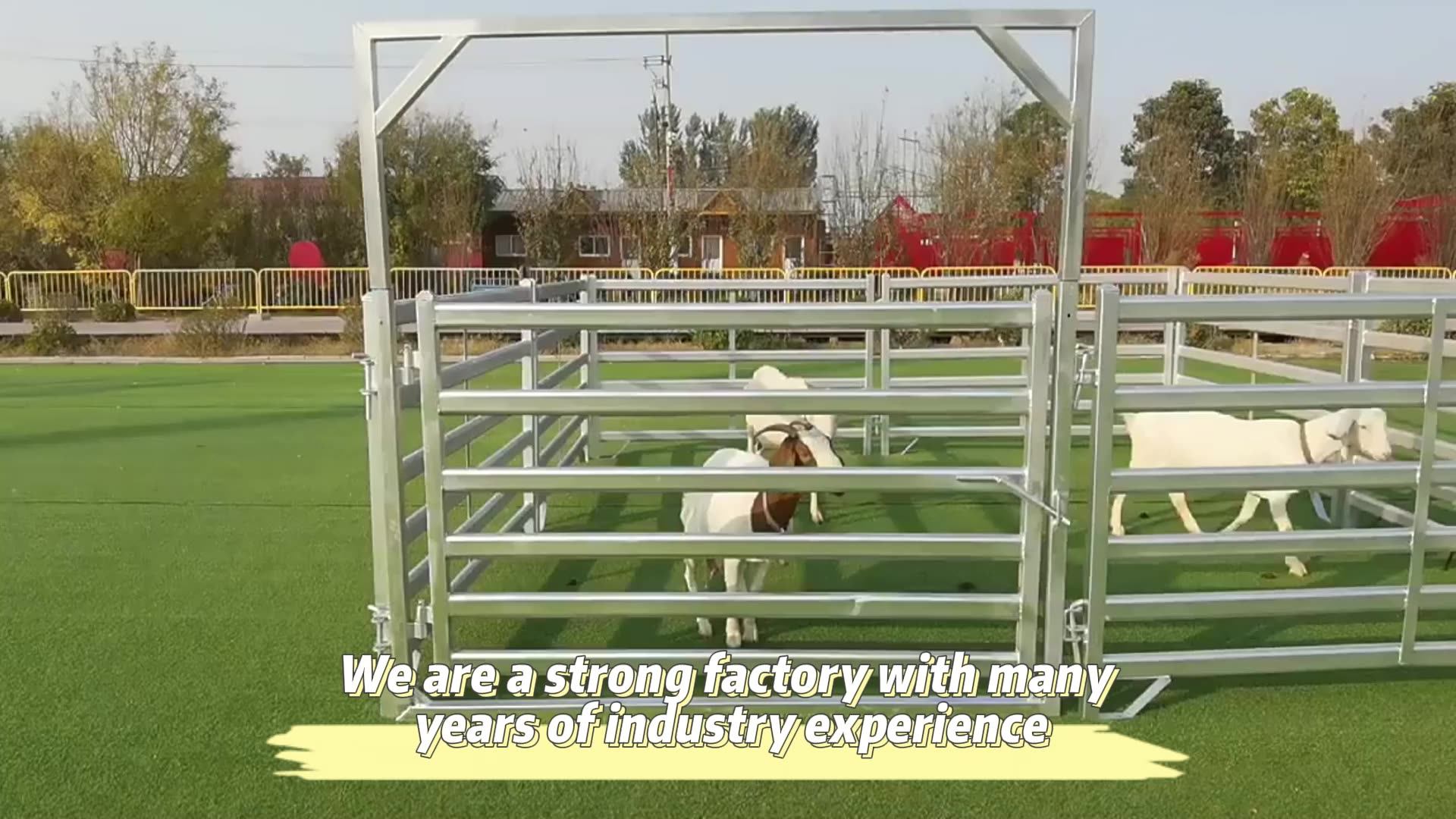 China Animal Cages Fence Main Gate Design Cattle Farm Equipment ...