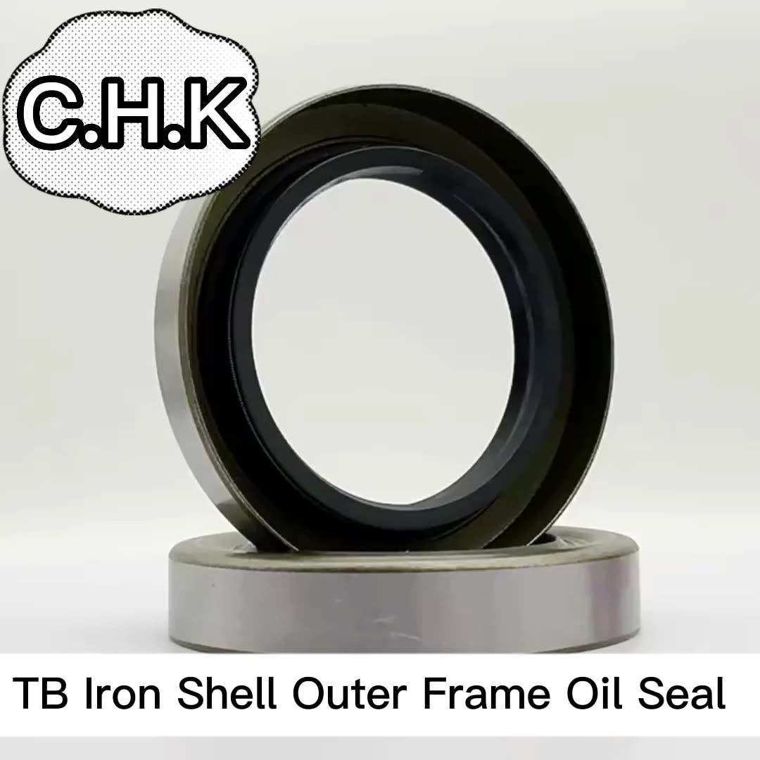 Hydraulic Rubber Oil Seal Fkm Tb Tb2 Tc4 Dc Sc Dc4y Dc4p Htcl Htcr Tc ...