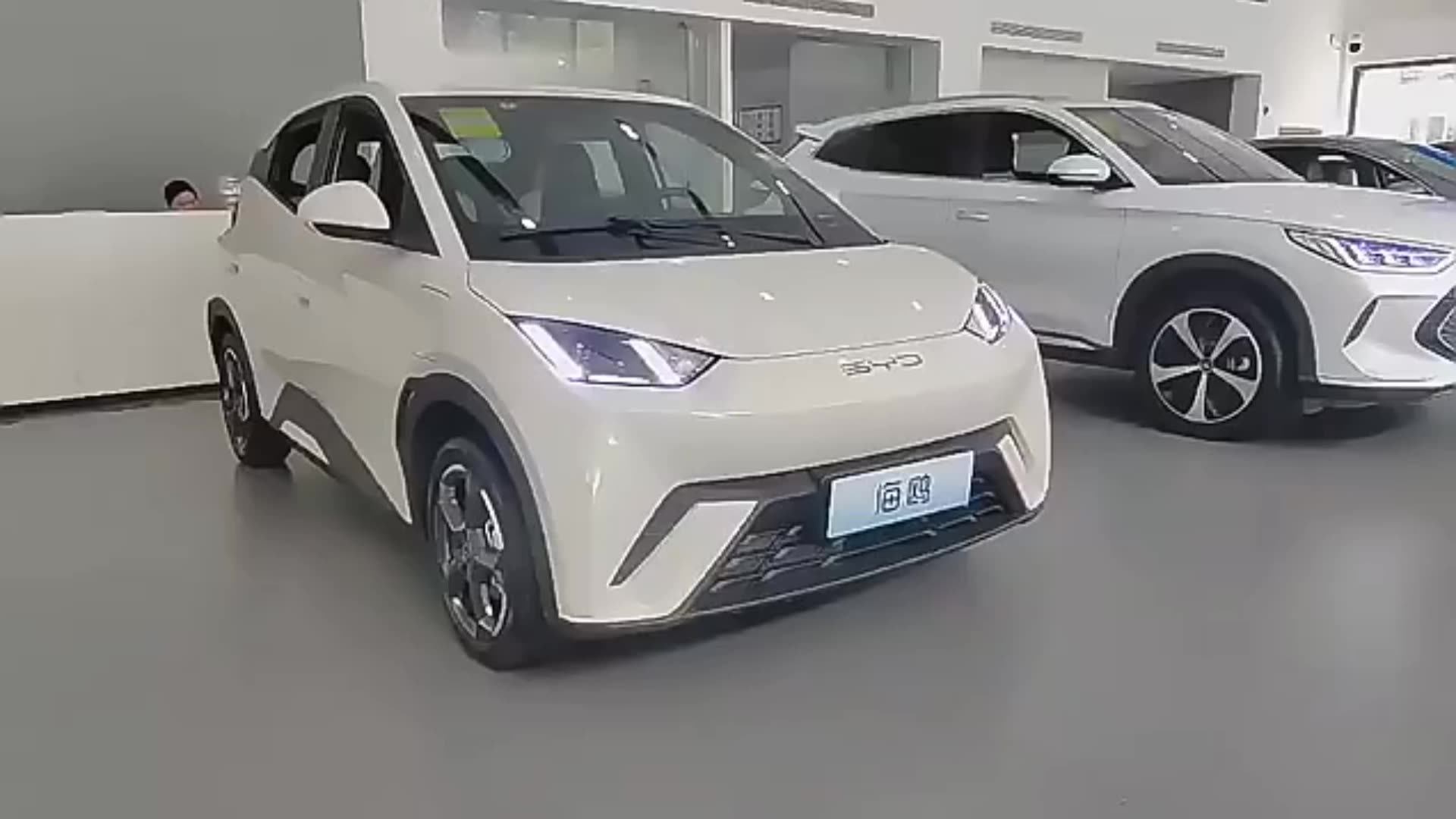 Cheap Price Byd Seagull New Car 5 Doors 4 Seats 305km Cruising Range ...