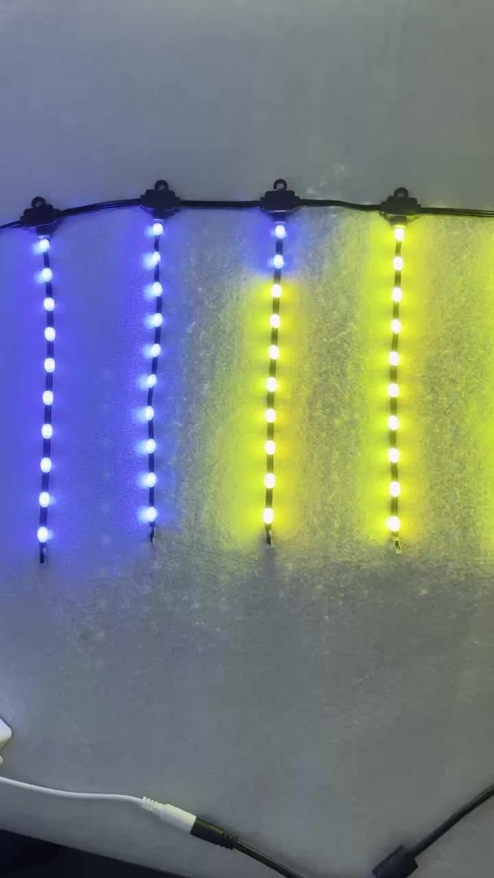 100 Pixels/string 12v 2.5cm Spacing Addressable Rgb Smart Led Pebble ...