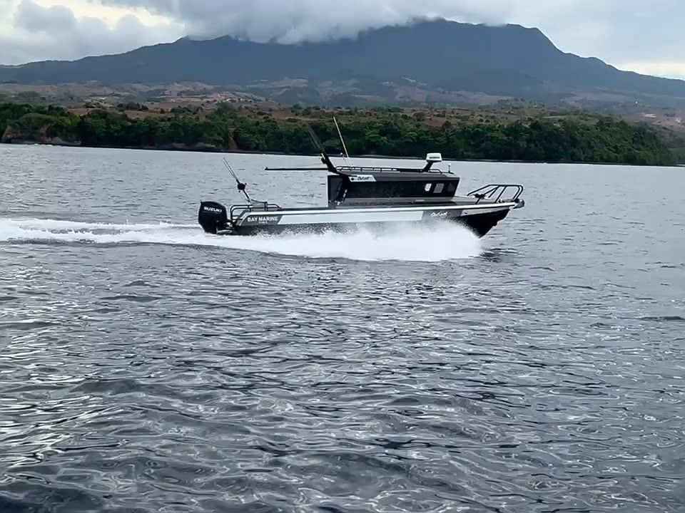 32ft Deep V Hull Easy Craft Pontoon Aluminum Boat Fishing Boat For Sale ...