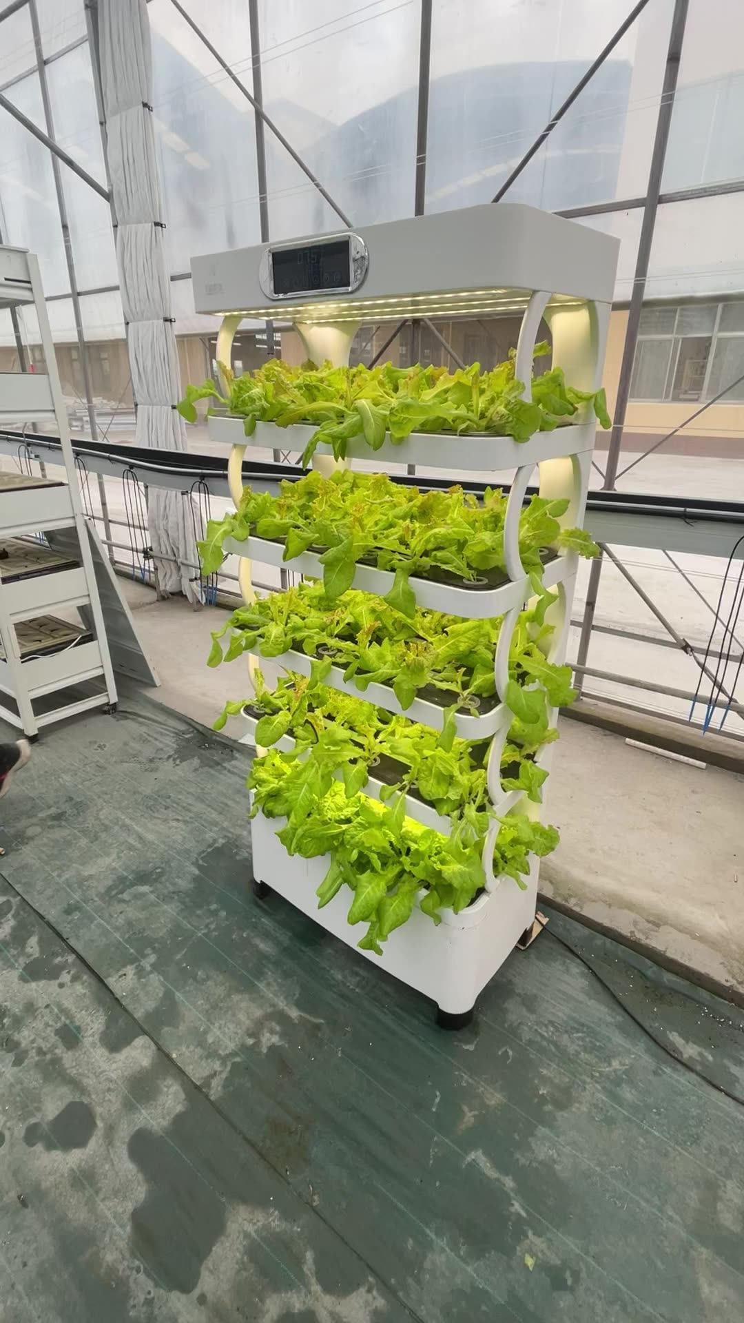 Acquponic Hydro Culture Agriculture Indoor Complete Hydroponic System ...