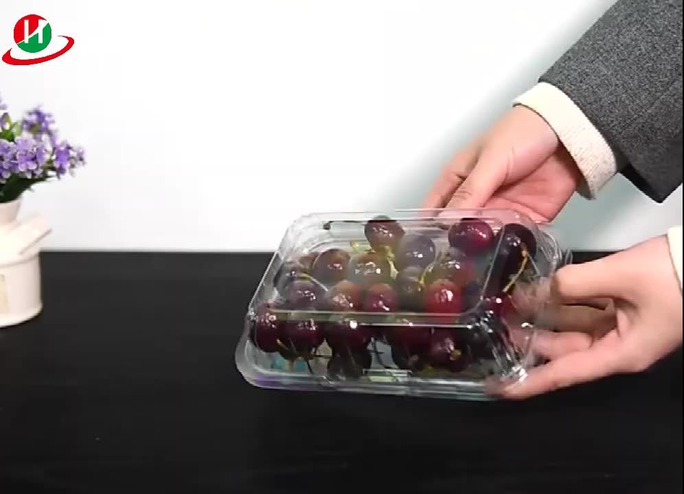 Disposable Clear Cake Box Rectangle Cake Box,Clear Plastic Hinged Food ...